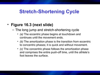 Chapter 16 Plyometrics | PPT