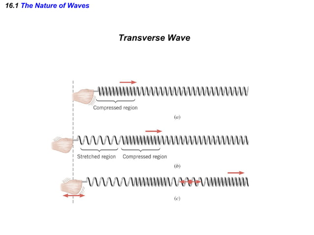 AP Physics - Chapter 16 Powerpoint | PPT