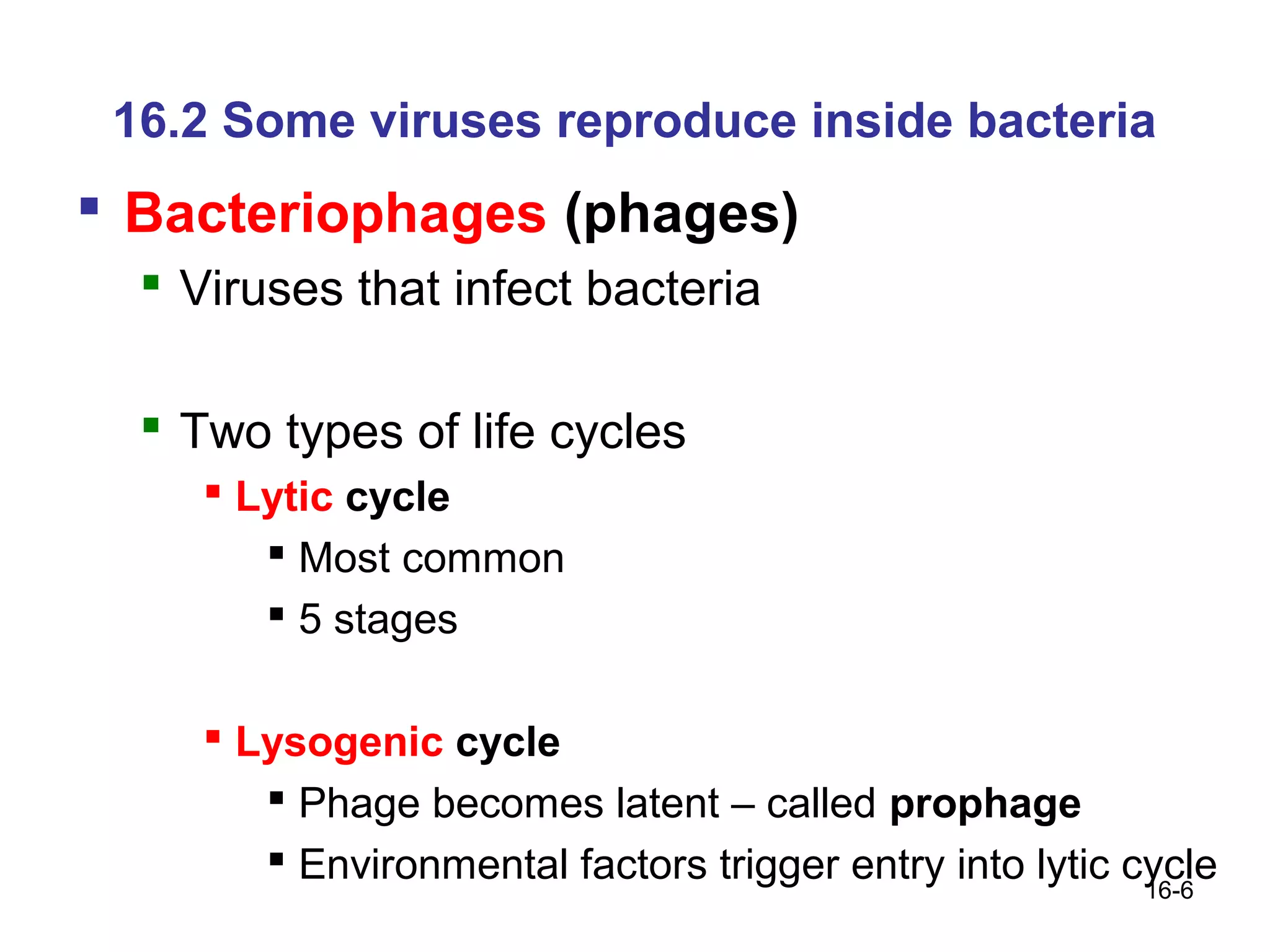 Bio 100 Chapter 16 | PPT