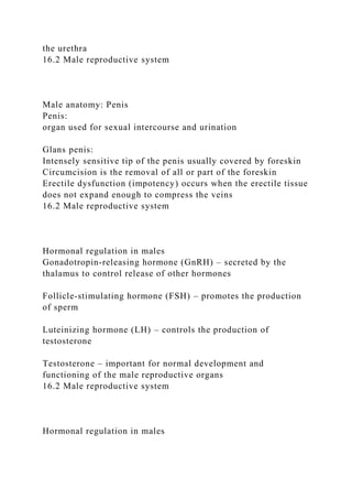 Chapter 16 Reproductive SystemPoints to PonderW.docx