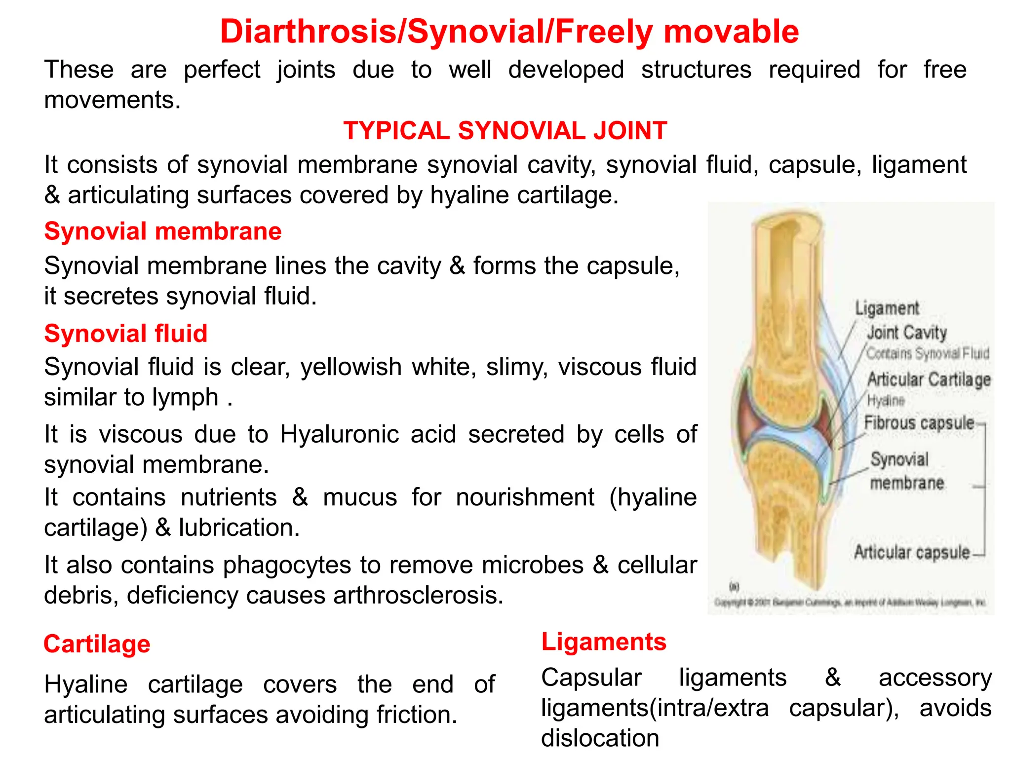 Chapter 16 Skeleton & Movement.pptx