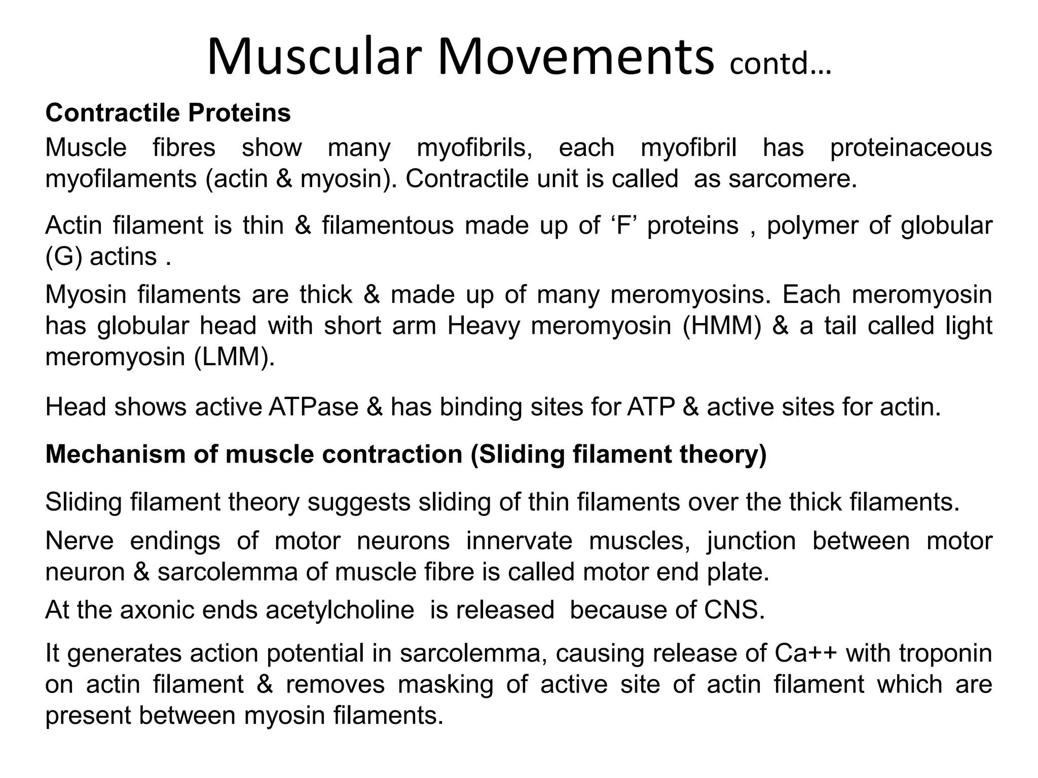 Chapter 16 Skeleton & Movement.pptx