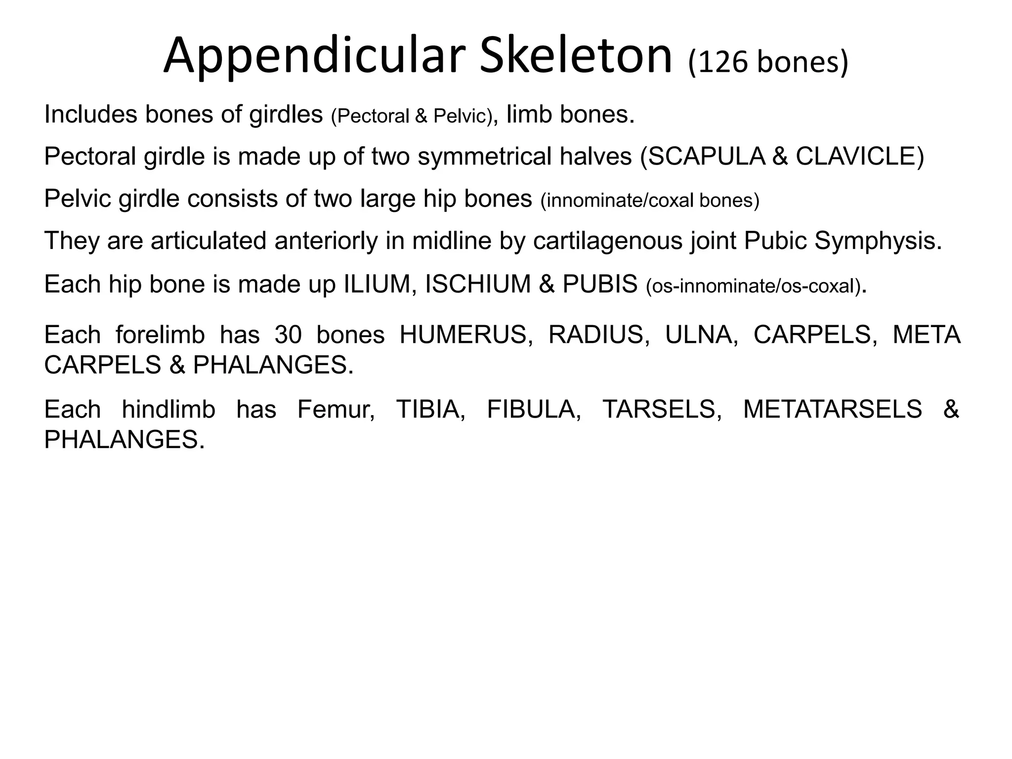 Chapter 16 Skeleton & Movement.pptx