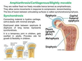 Chapter 16 Skeleton & Movement.pptx