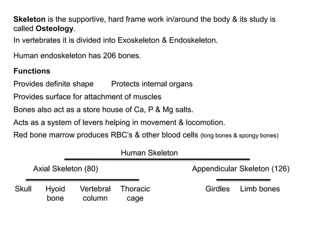 Chapter 16 Skeleton & Movement.pptx