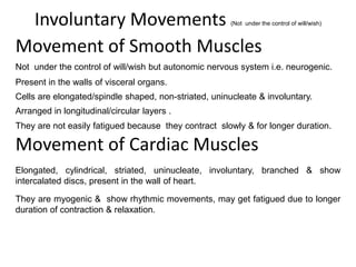 Chapter 16 Skeleton & Movement.pptx