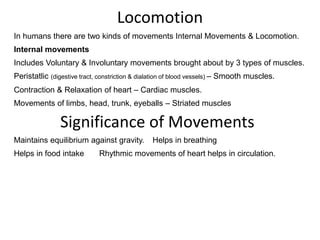 Chapter 16 Skeleton & Movement.pptx