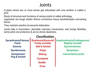 Chapter 16 Skeleton & Movement.pptx
