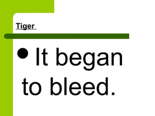 Chapter 16 – The Tiger and the Mosquito.ppt