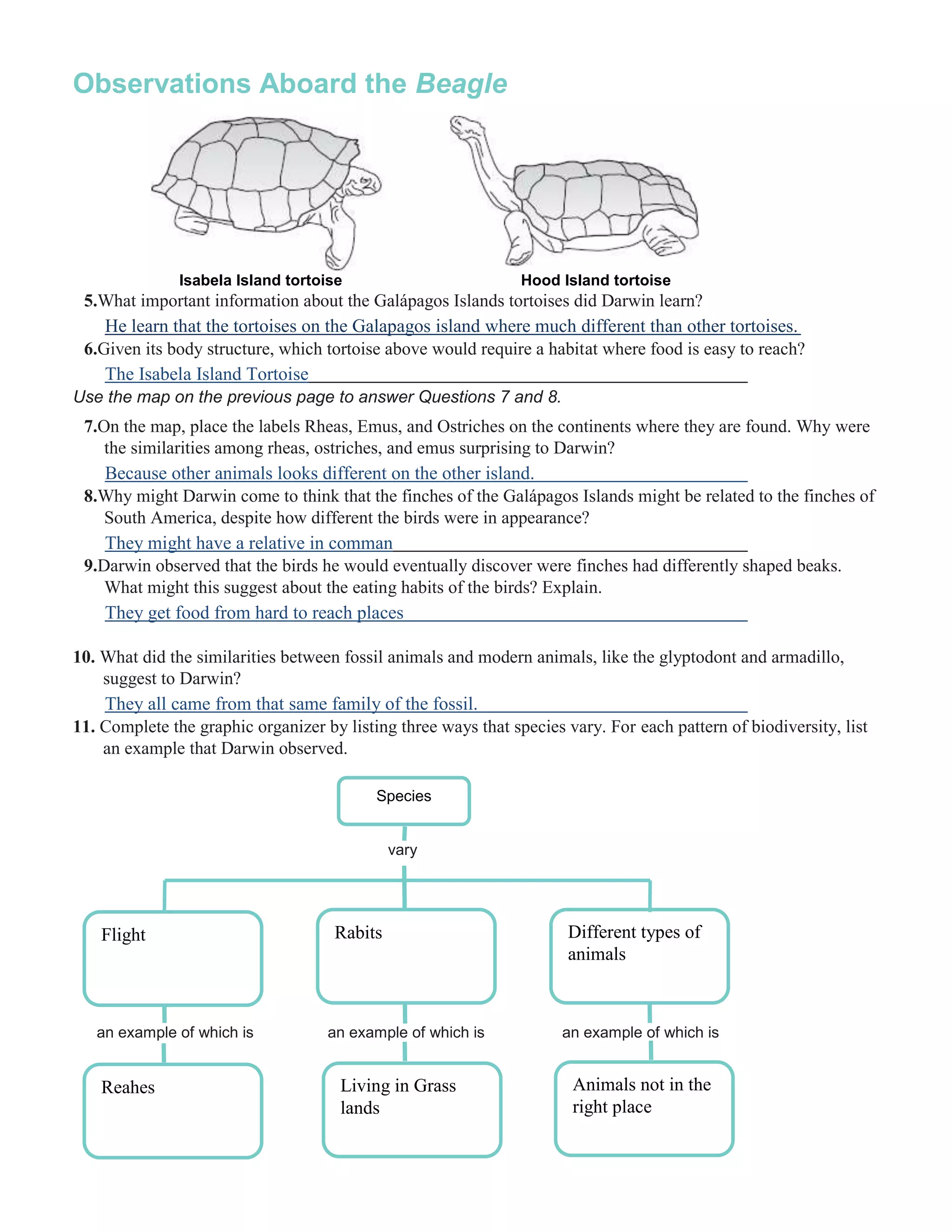Chapter 16 worksheets | DOCX