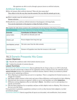 Chapter 16 worksheets | DOCX