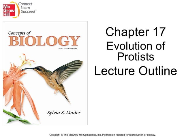Bio 100 Chapter 17 | PPT
