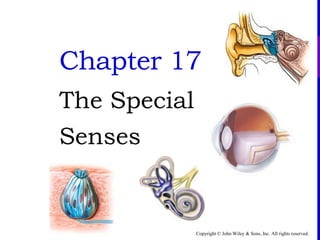 Chapter 17 | PPT