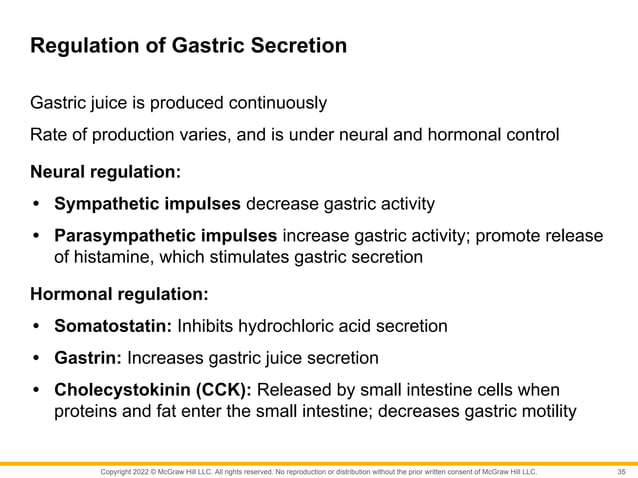 General Characteristics of the Digestive System | PPT