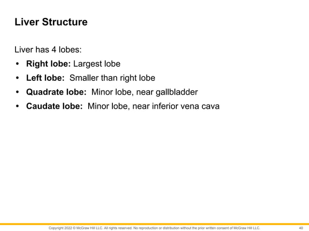 General Characteristics of the Digestive System | PPT