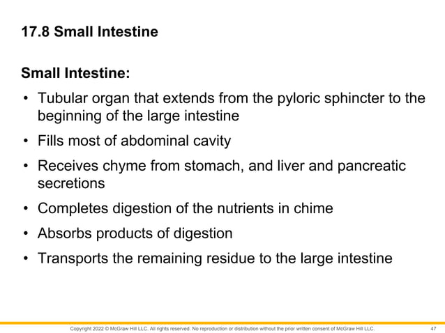General Characteristics of the Digestive System | PPT