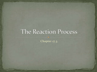 Chapter 17.3 : The Reaction Process | PPTX