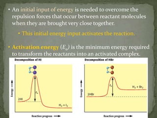Chapter 17.3 : The Reaction Process | PPTX