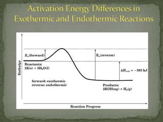 Chapter 17.3 : The Reaction Process | PPTX
