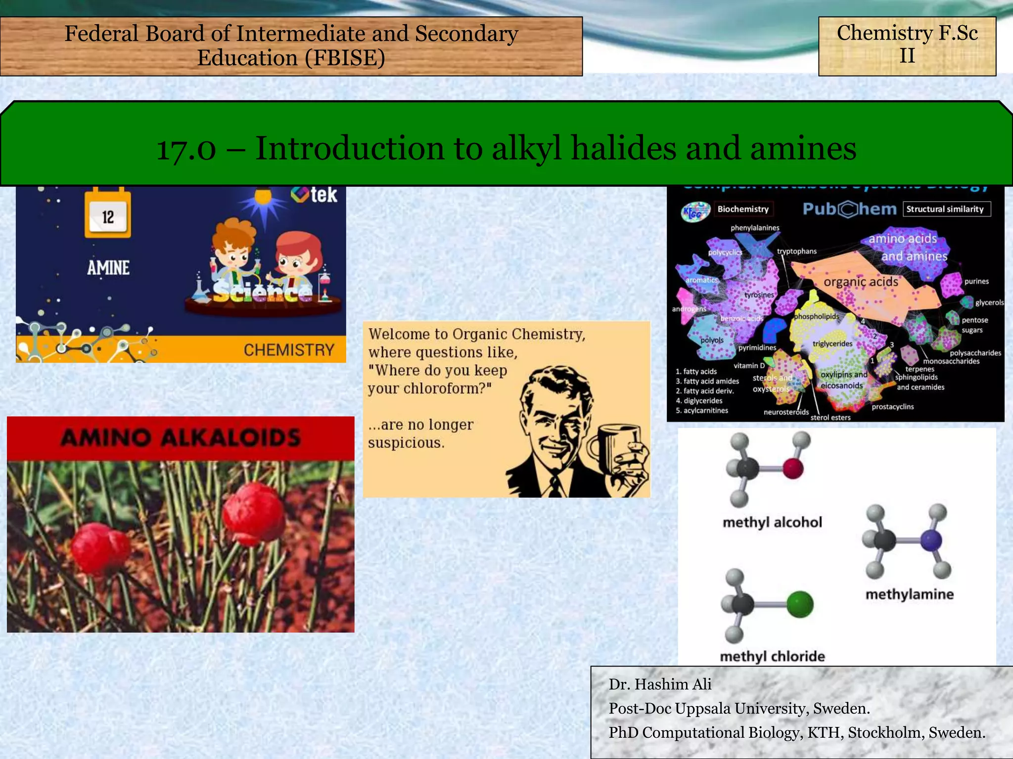 Chapter 17 alkyl halides and amines | PPTX | Chemistry | Science