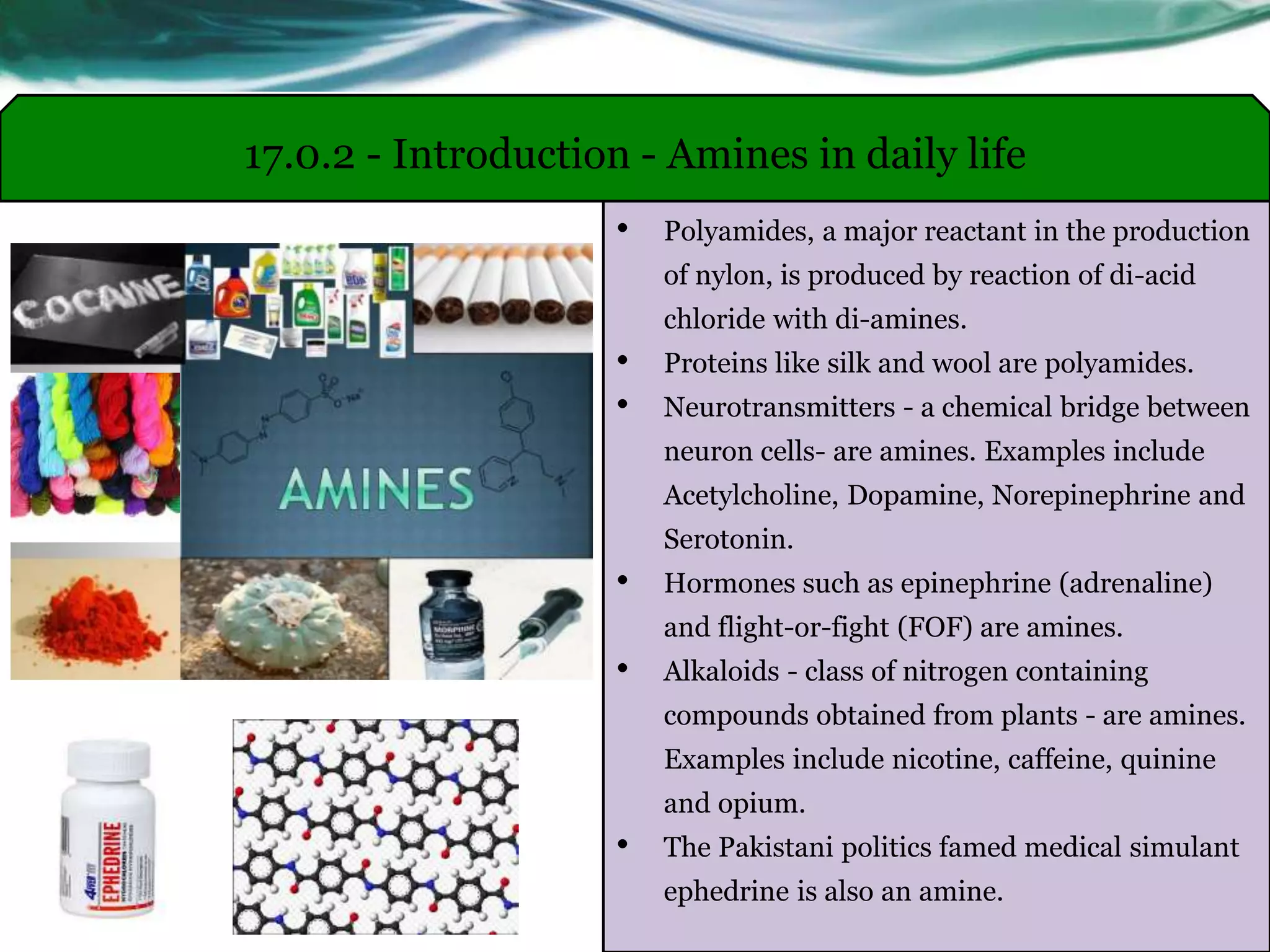 Chapter 17 alkyl halides and amines | PPTX