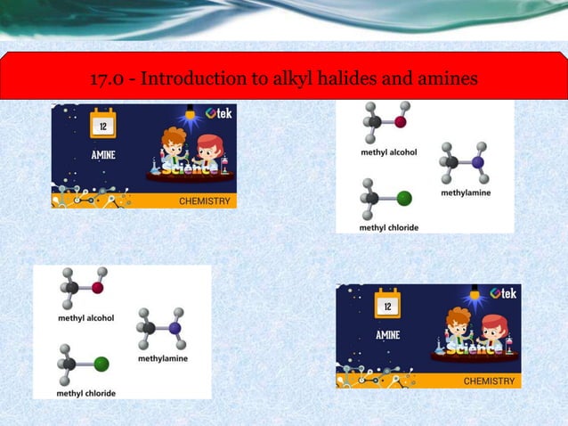 Chapter 17 alkyl halides and amines | PPTX | Chemistry | Science