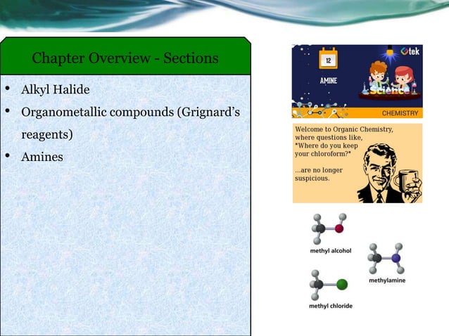 Chapter 17 alkyl halides and amines | PPTX | Chemistry | Science
