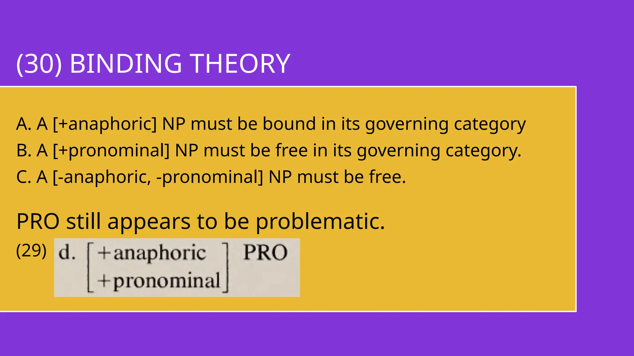 Chapter 17 Binding Theory - Grammatical Theories.pptx