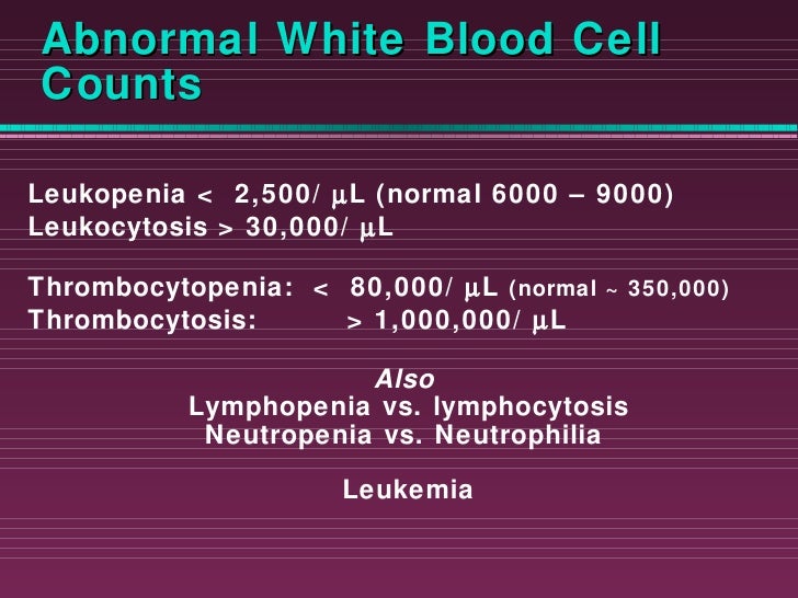 Chapter17 bloodmarieb