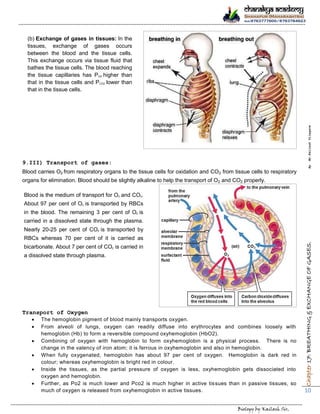 Chapter 17 breathing & exchange of gases (repaired) (2) | PDF