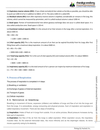 Chapter 17 breathing & exchange of gases (repaired) (2) | PDF