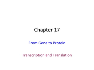 Chapter17genetoprotein 151125150800-lva1-app6892 | PPT