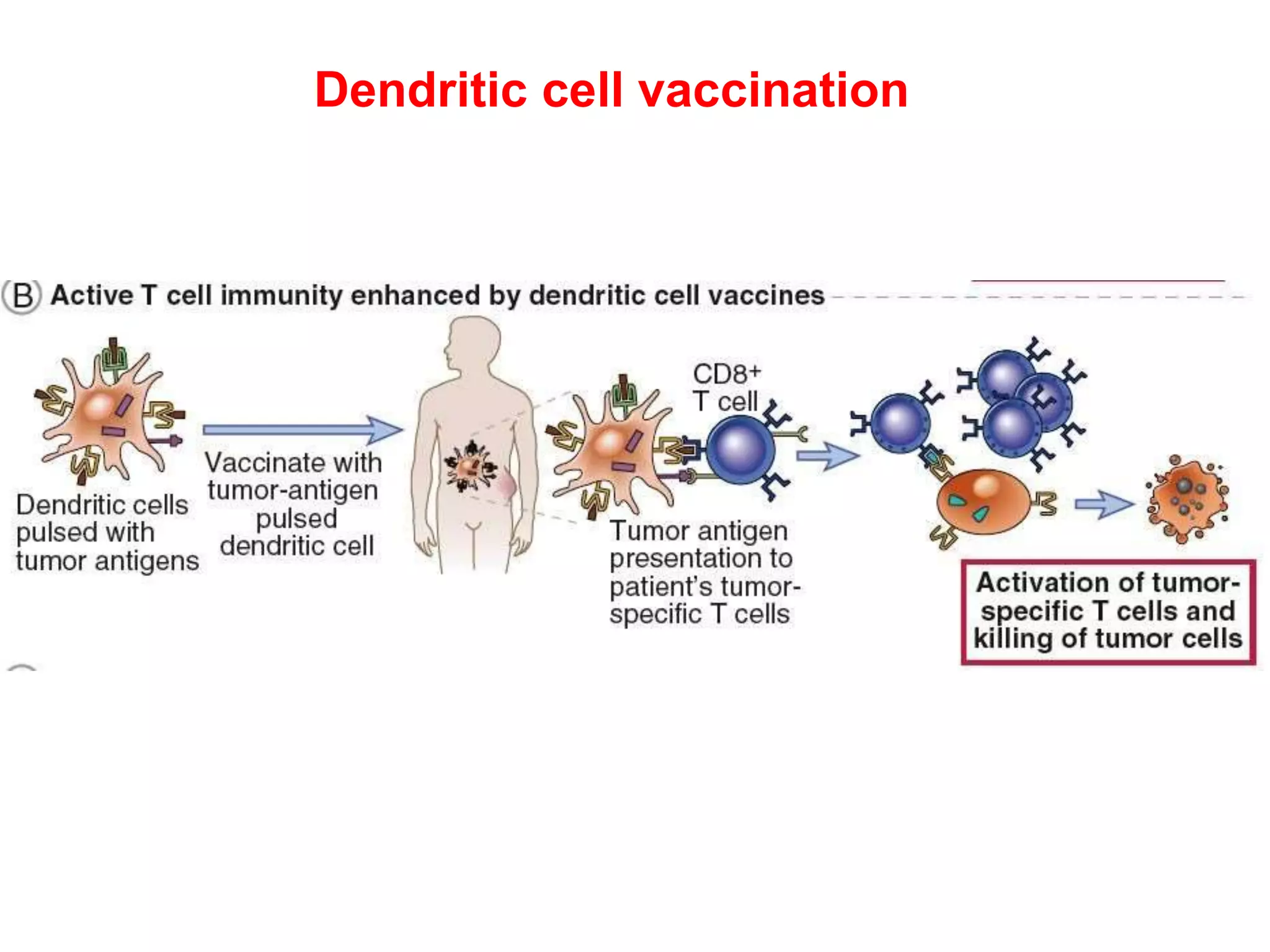 Chapter 17 Immunotherapy Pptx