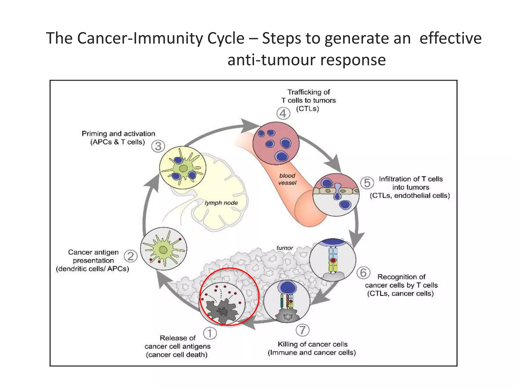 Chapter 17 immunotherapy | PPTX