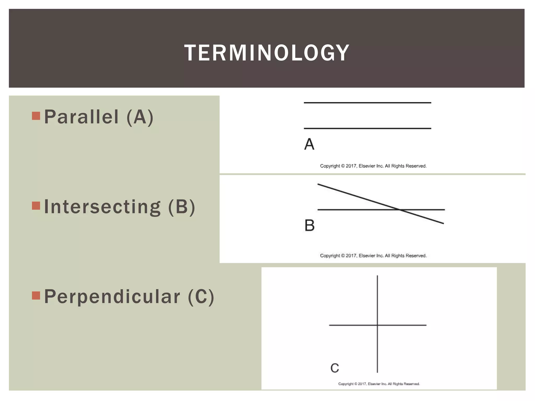 Chapter 17: Paralleling | PPT