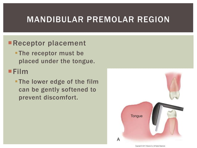 Chapter 17: Paralleling | PPT