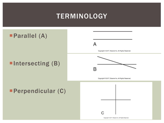 Chapter 17: Paralleling | PPT