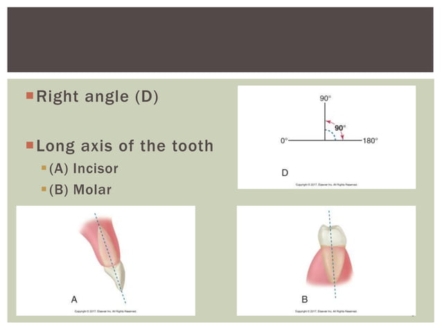 Chapter 17: Paralleling | PPT