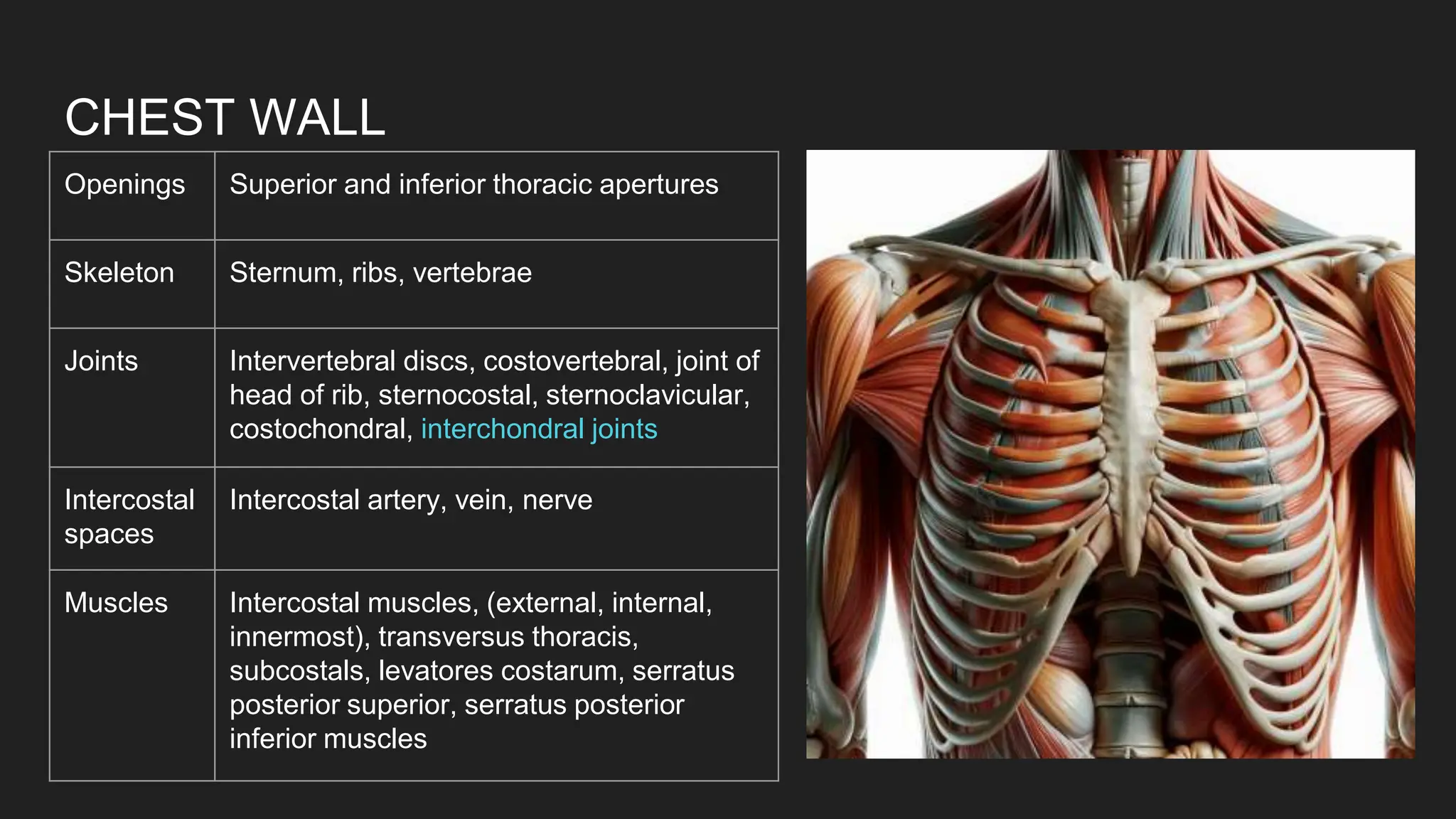 Chapter 17 _ Pleura, Chest Wall, Diaphragm, and Miscellaneous Chest ...