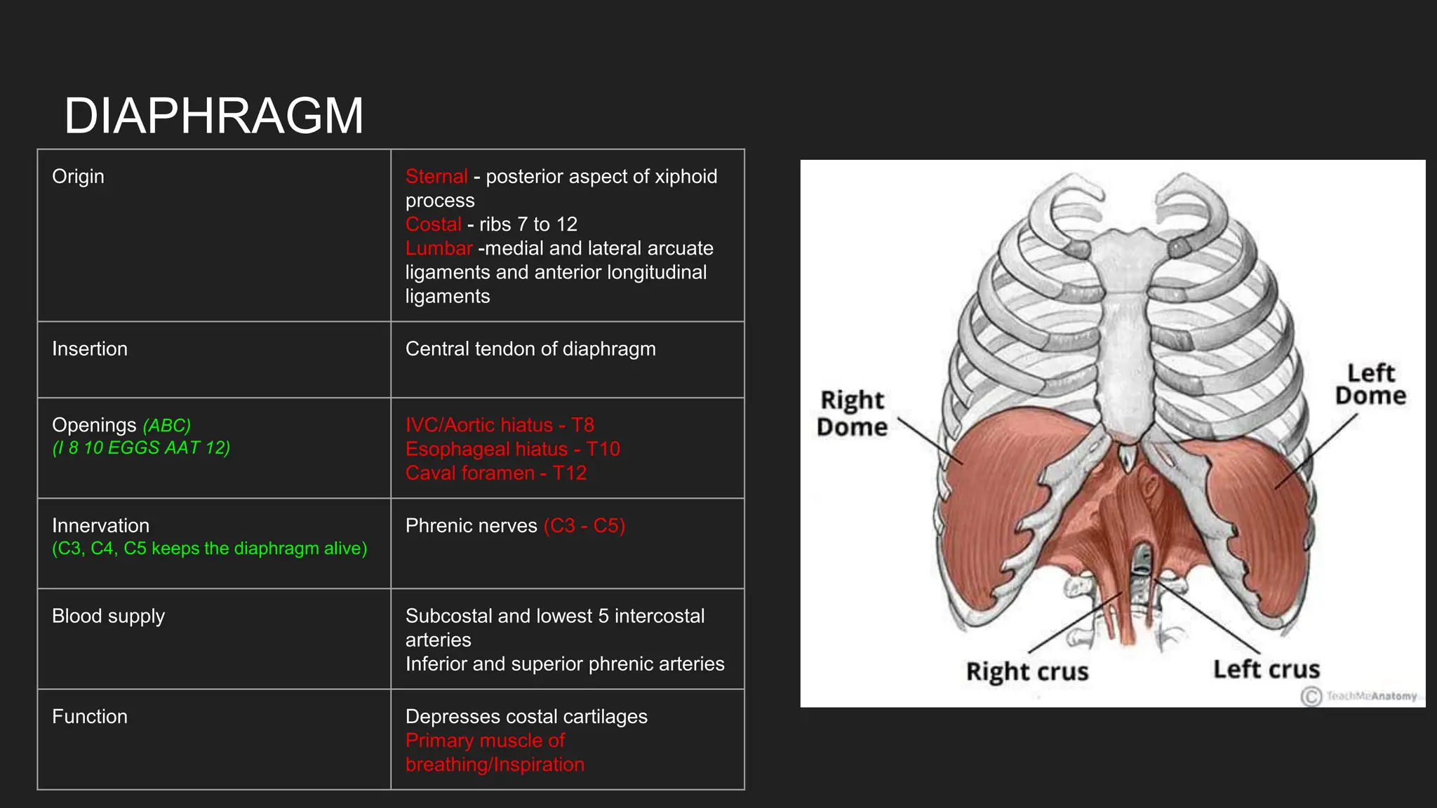 Chapter 17 _ Pleura, Chest Wall, Diaphragm, and Miscellaneous Chest ...
