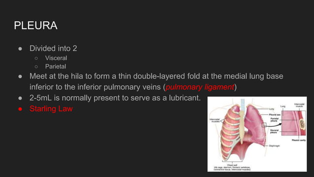 Chapter 17 _ Pleura, Chest Wall, Diaphragm, and Miscellaneous Chest ...