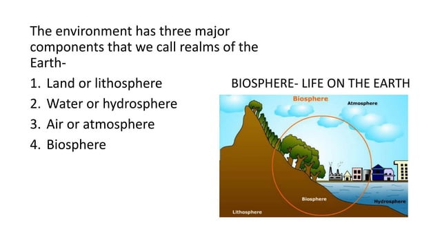 Chapter 17 the realms of the earth | PPTX | Geography | Science