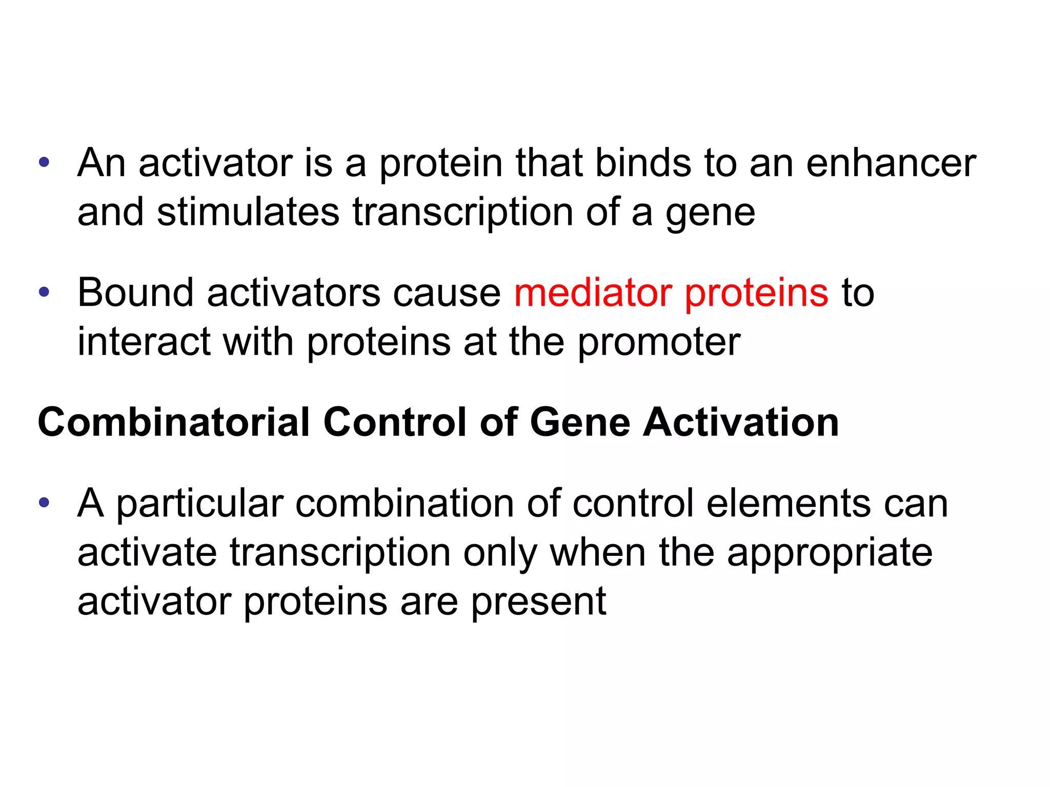 Chapter 18: Gene expression | PPTX
