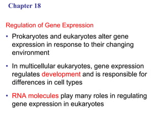 Chapter 18: Gene expression | PPT