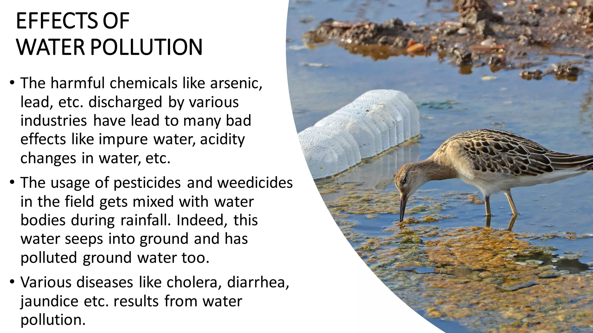 Chapter - 18, Pollution of Air and Water, Science, Class 8 | PDF