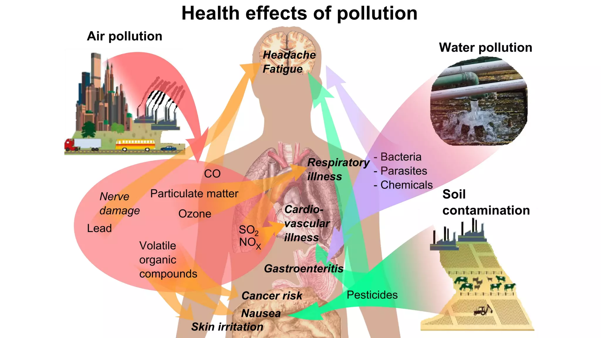 Chapter - 18, Pollution of Air and Water, Science, Class 8 | PDF