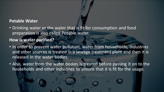 Chapter - 18, Pollution of Air and Water, Science, Class 8 | PDF