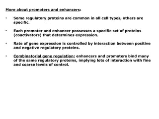 Regulation of gene regulation in Eukaryotes | PPT