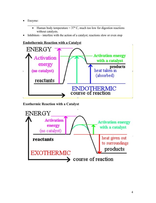 Chemistry - Chp 18 - Reaction Rates and Equilibrium - Notes | DOC