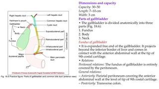Extrahepatic Biliary Apparatus for medical students.pptx